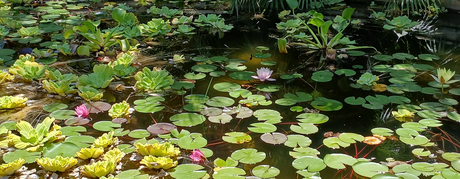 Иришка из Пензы