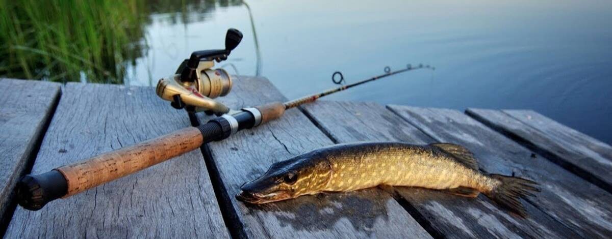 Рыбалка Смоленск