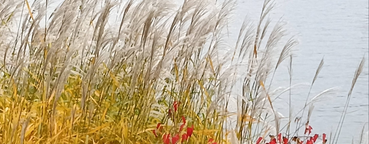 Оксана М. Рукоделие