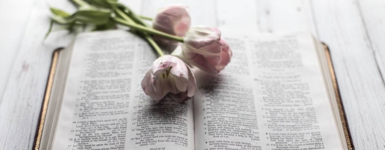 "Библия"канал для тех, кто любит Бога💖