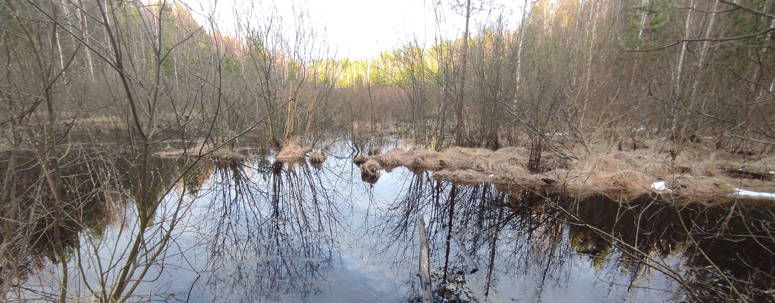 Всё интересное