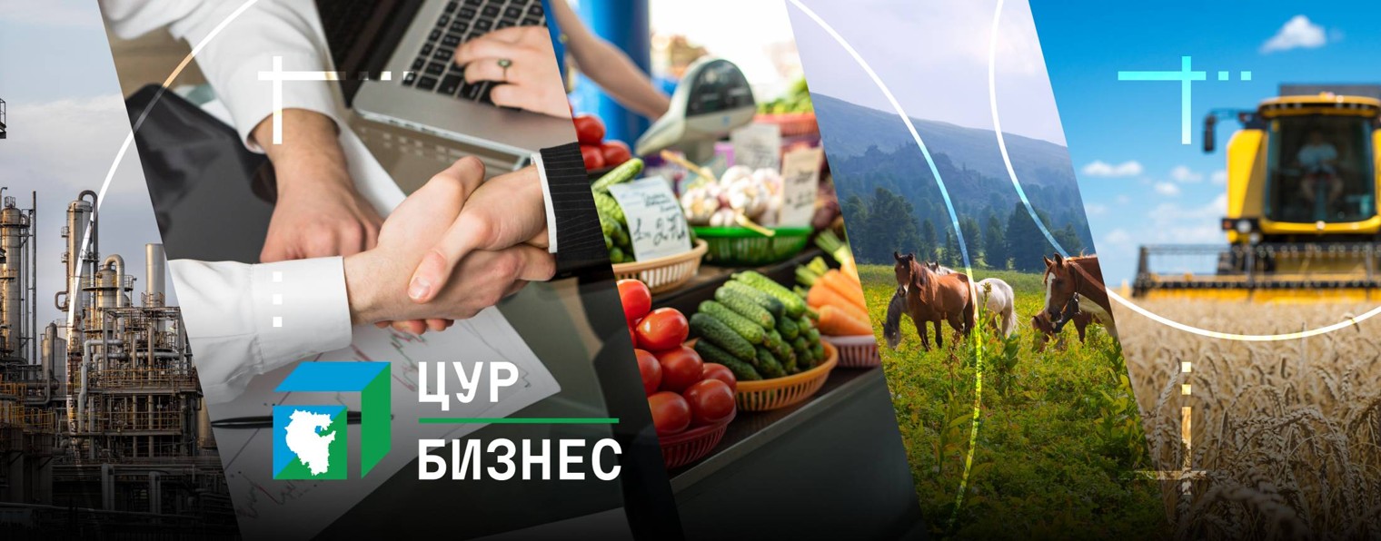 ЦУР Бизнес. Диалог