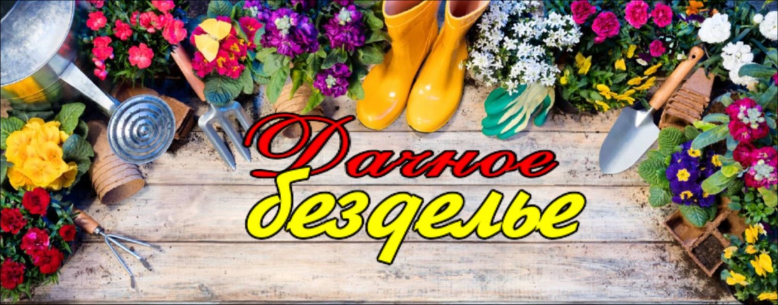 Дачное безделье