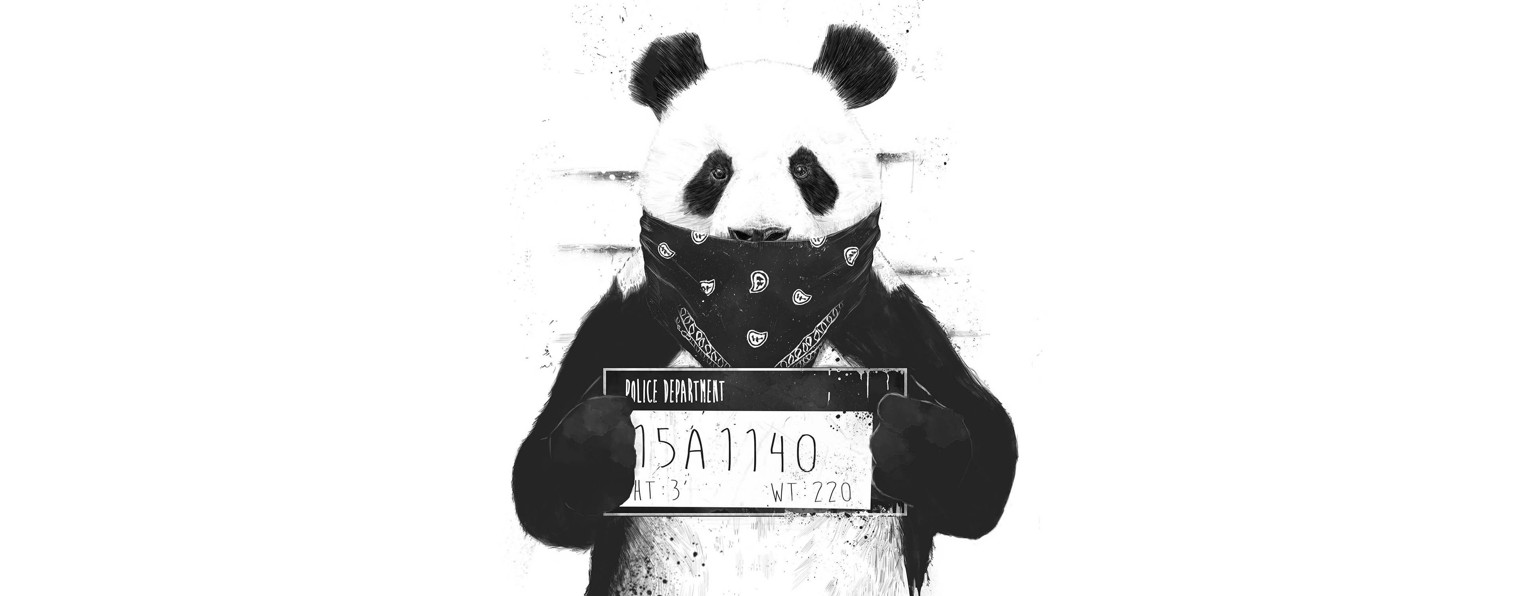 Потому что мы панда