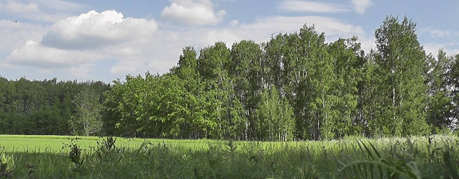 Мы тоже туристы 55