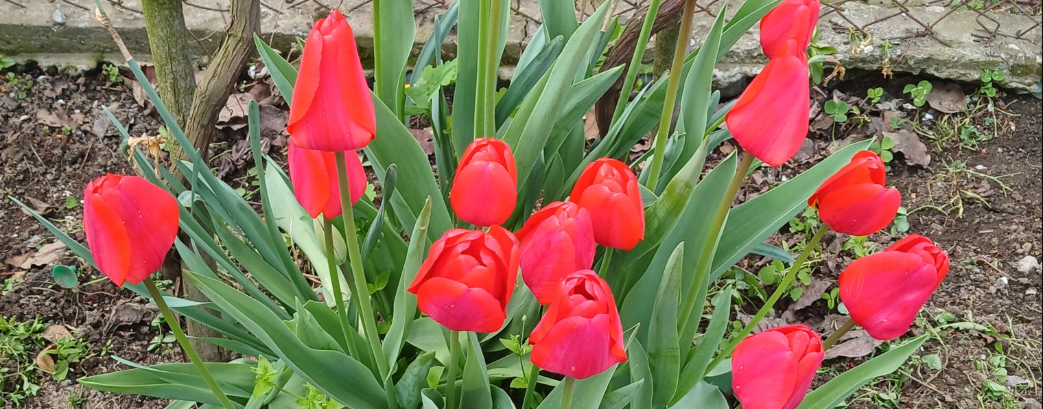 ДАЛЬНЕВОСТОЧНИКИ  на Юге Жизнь с Нуля