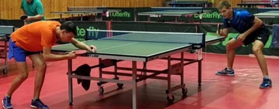 Настольный теннис в Ульяновской области. И в мире.
