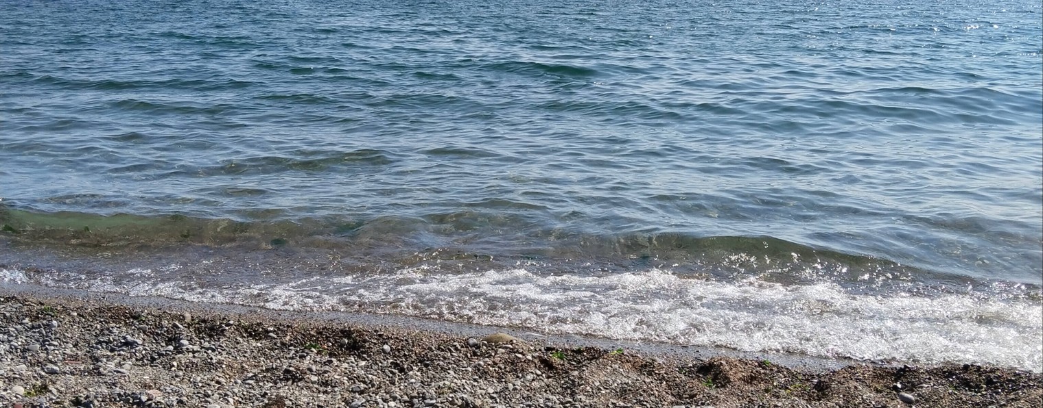 //Жизнь в движении//