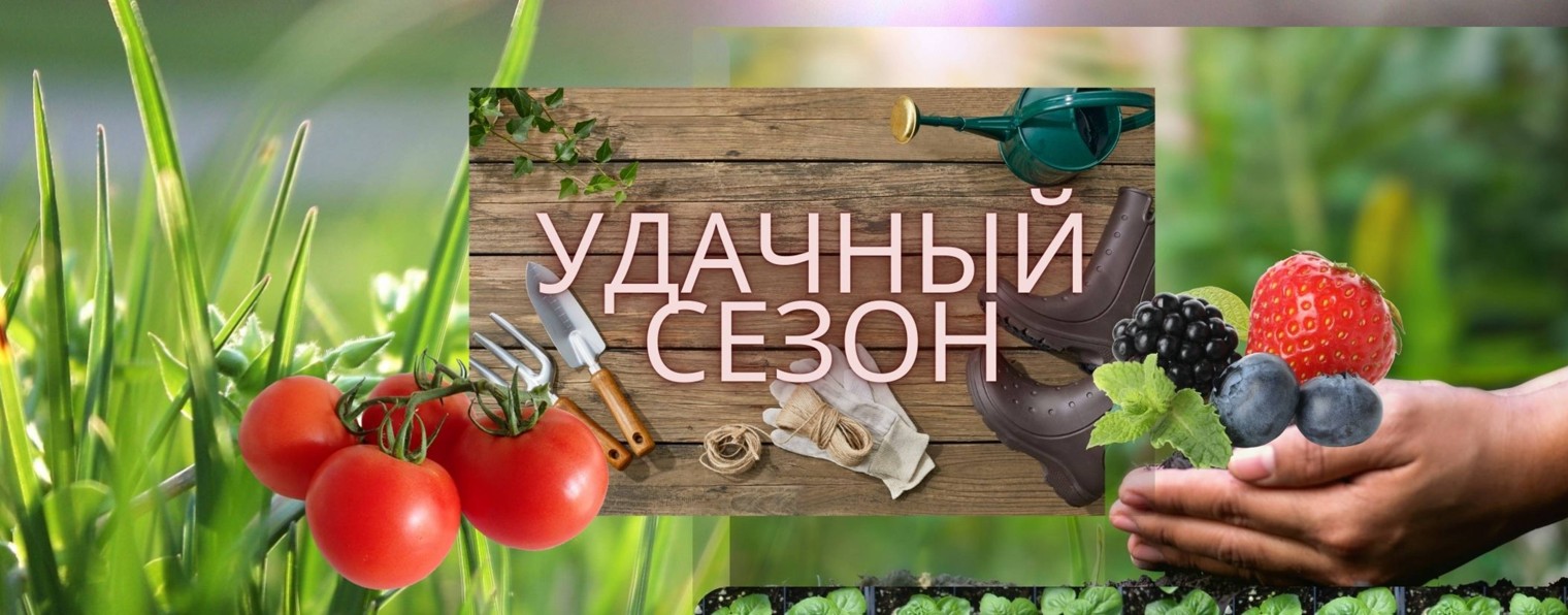 уДачный сезон