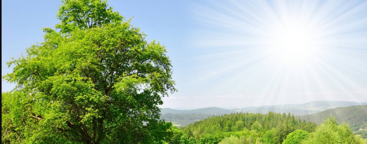 Понемногу обо всем, а когда и по многу.