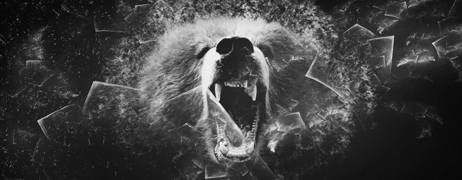 Grizzly - Games