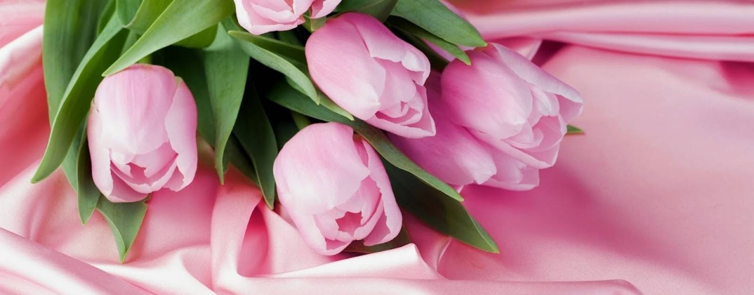 Дневник шопономика