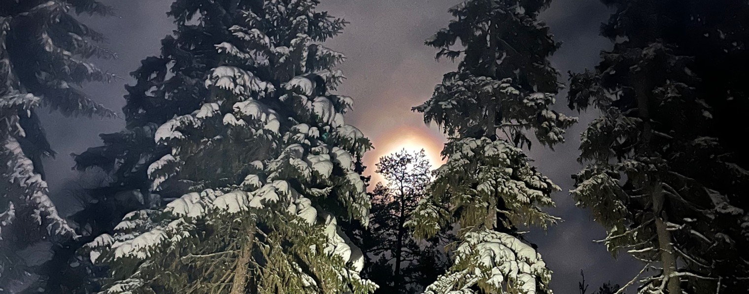 Жизнь простого мужика