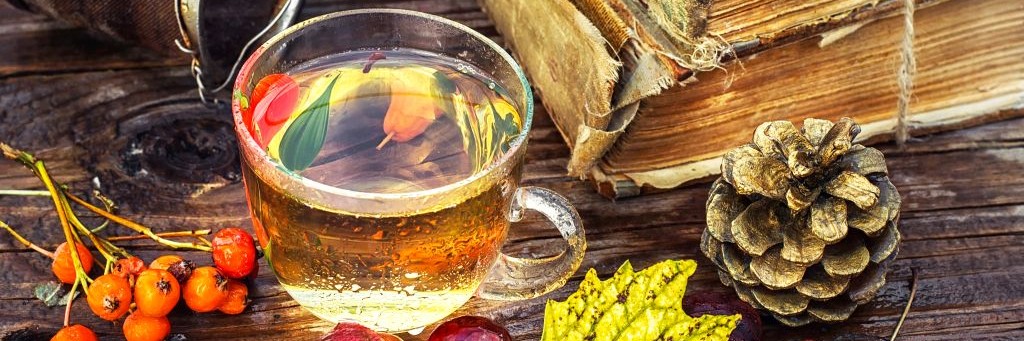 Домовёнок Кузя