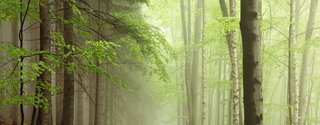 ЗОЖ и профилактика заболеваний