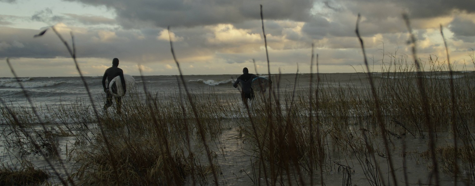 Склад видосов Лохматого