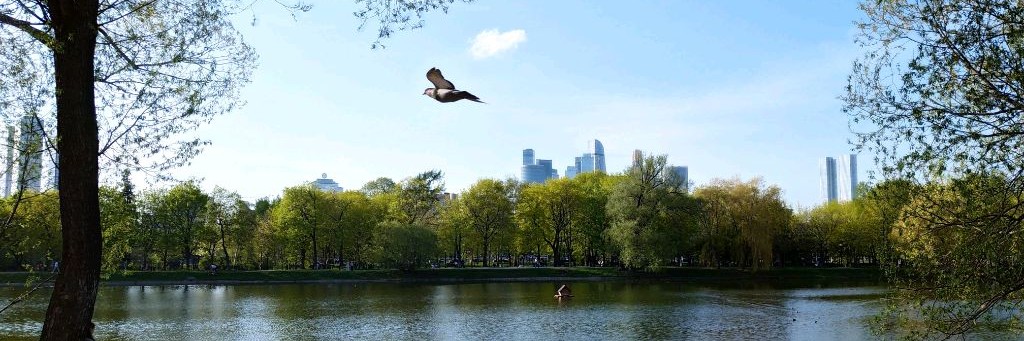 ЧП Ачинск. Россия. Мир I vk.com/chp_achinsk