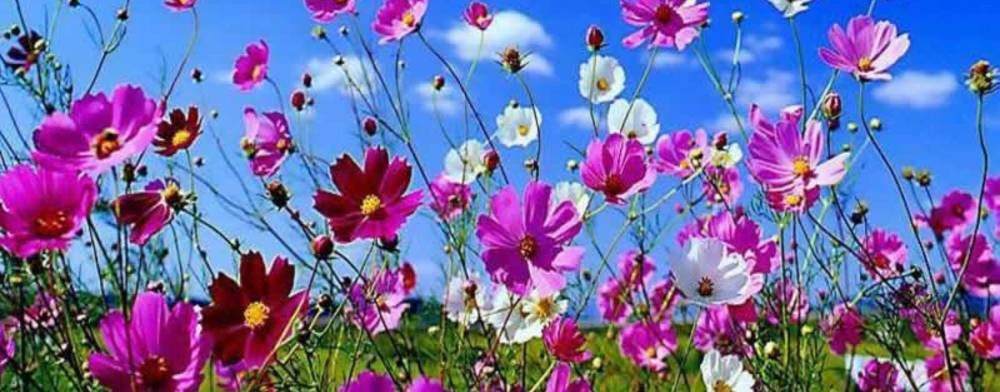 Будни соло-мамы