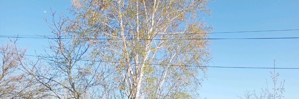 Живу как есть