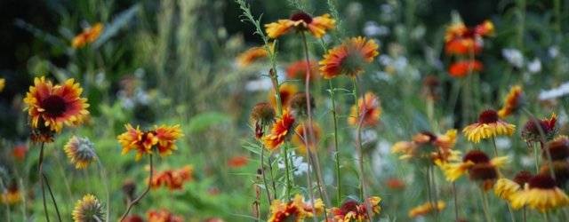 Не просто о жизни