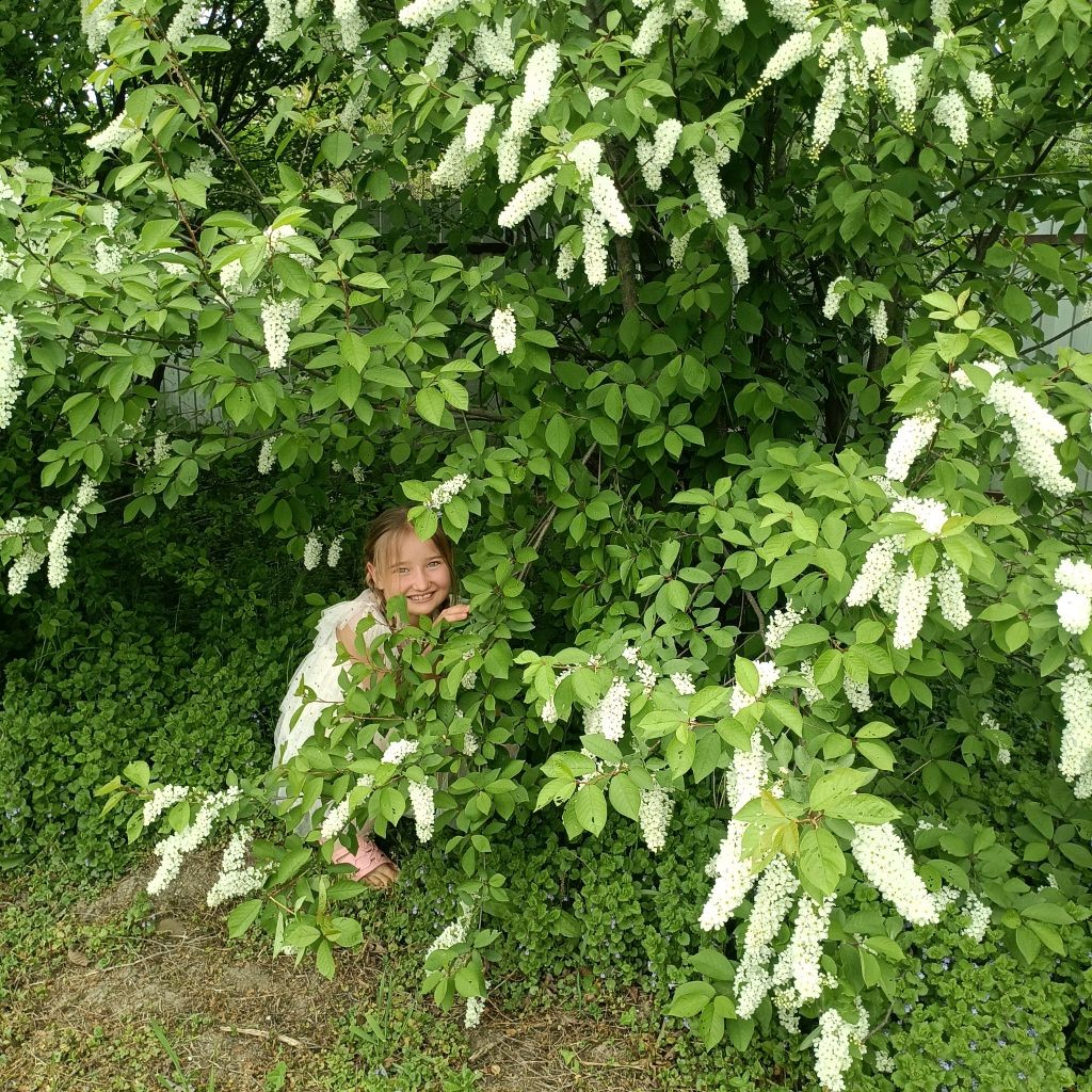Маша расскажет