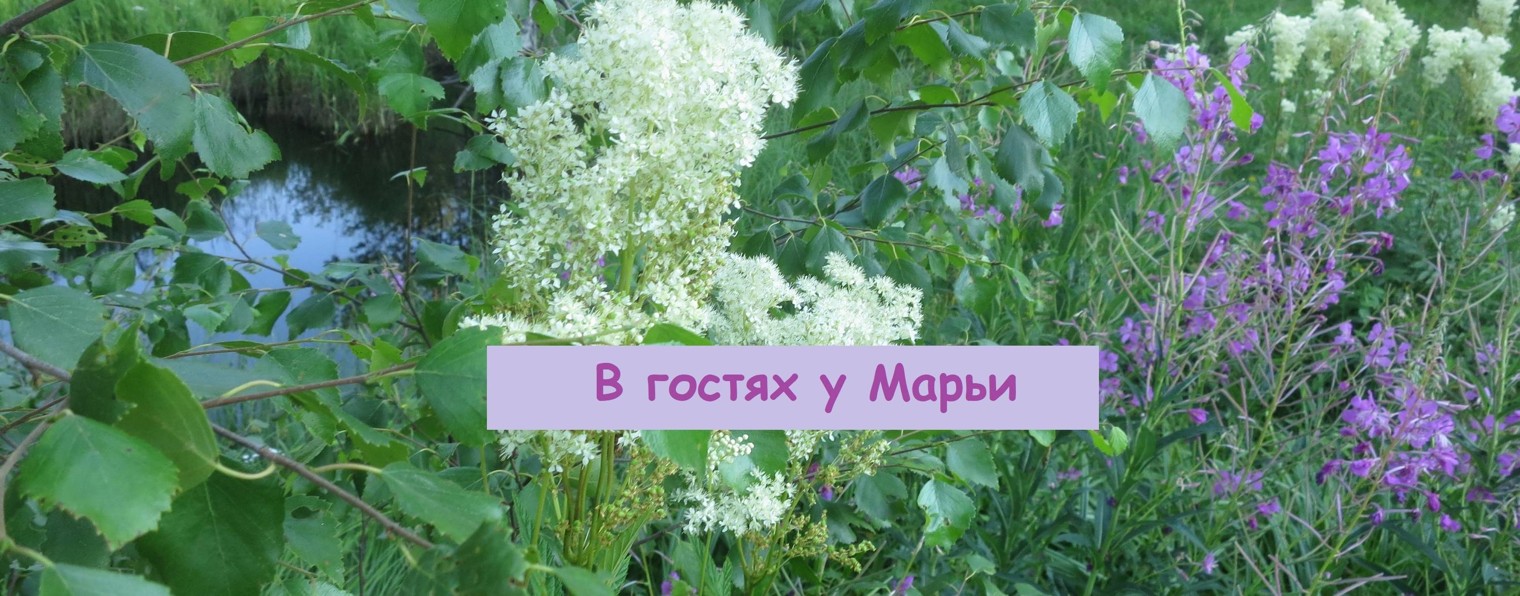 В гостях у Марьи
