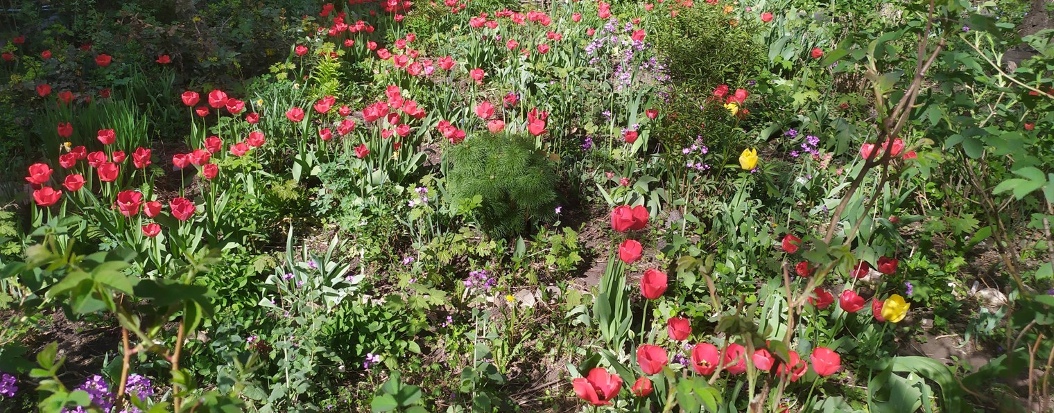 Счастливые животные