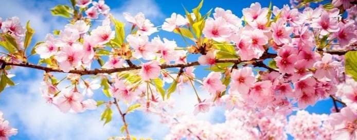 Антонина  Иванова