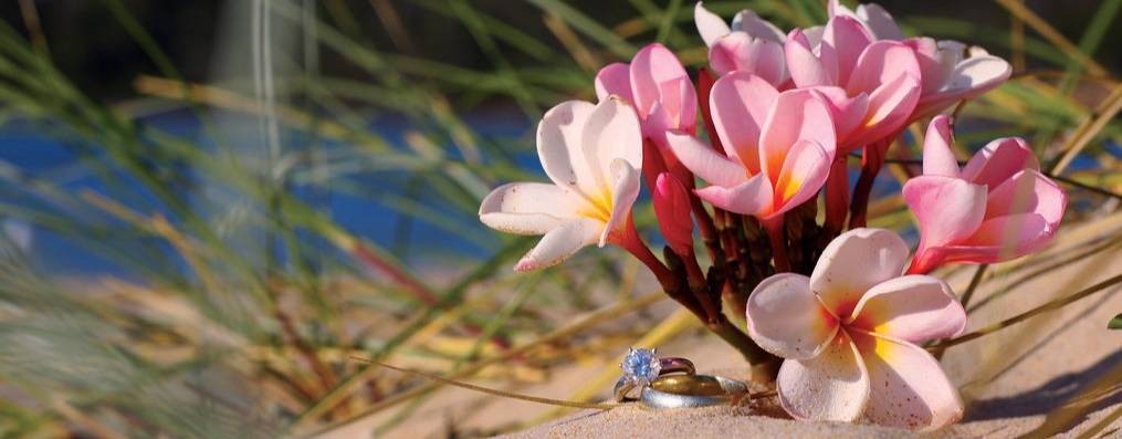 Ф.Ольга на метаболической тарелке.