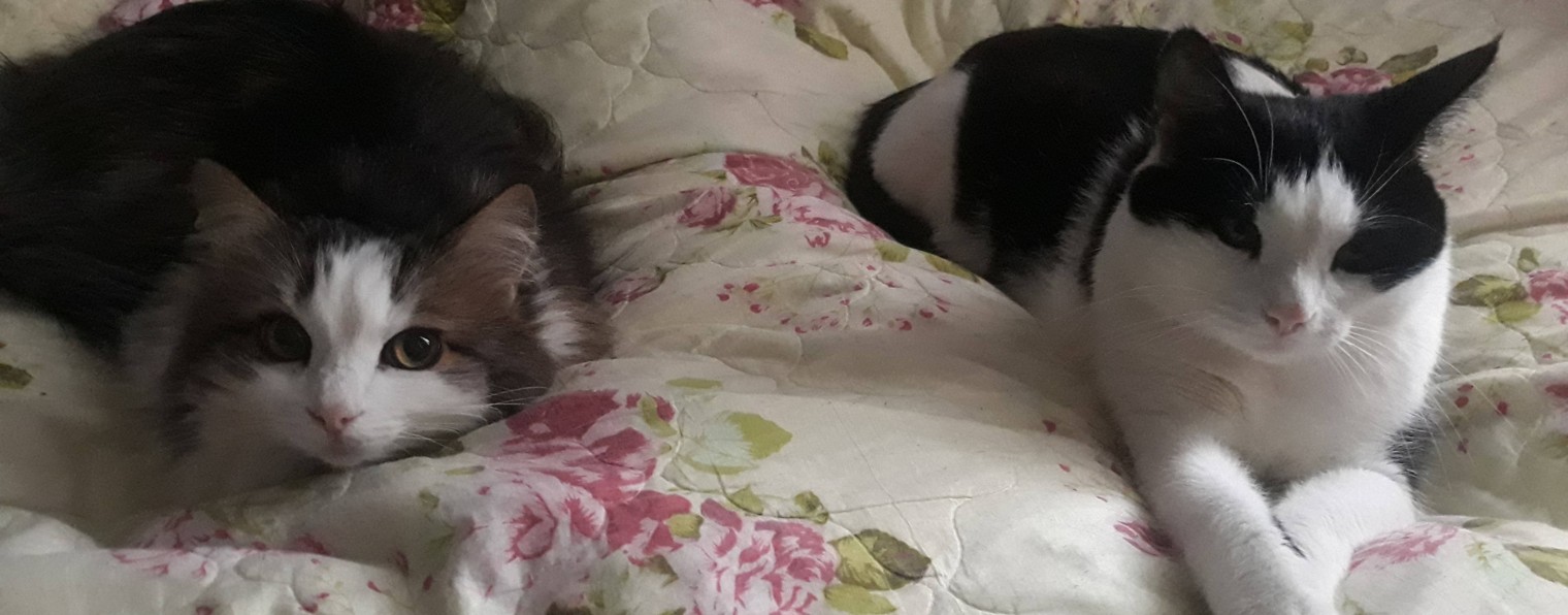 Живем пока творим