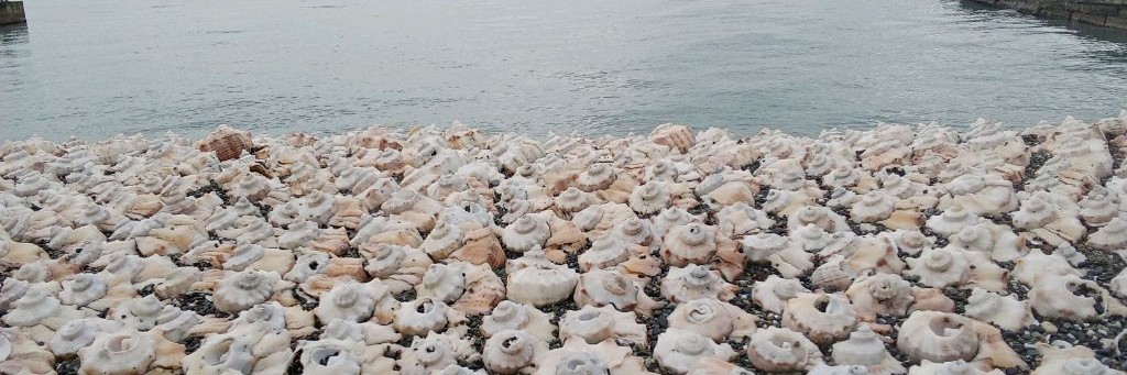 Заметки о моих путешествиях