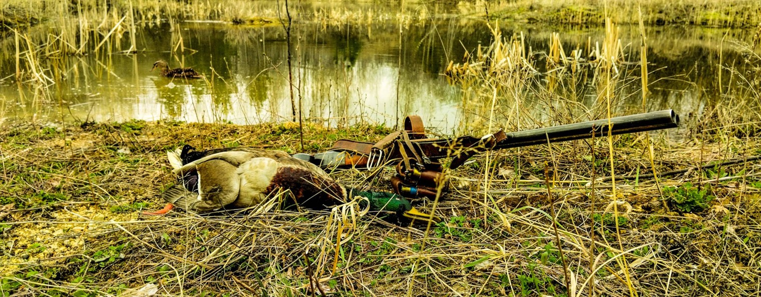 Охота Рыбалка и Кролик в шифоньере