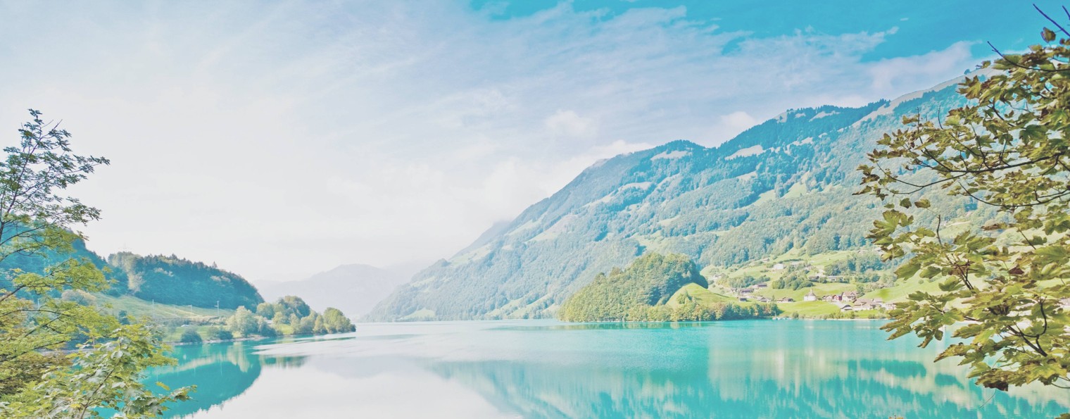 ВЛАДИСЛАВ ВАСИЛЕВС