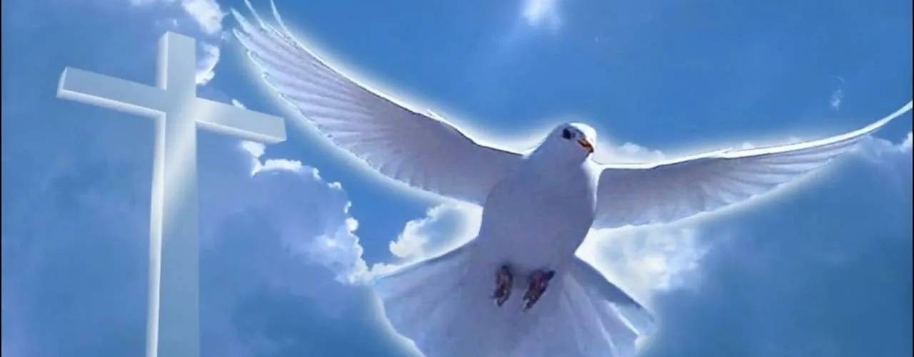 Александр Нащекин