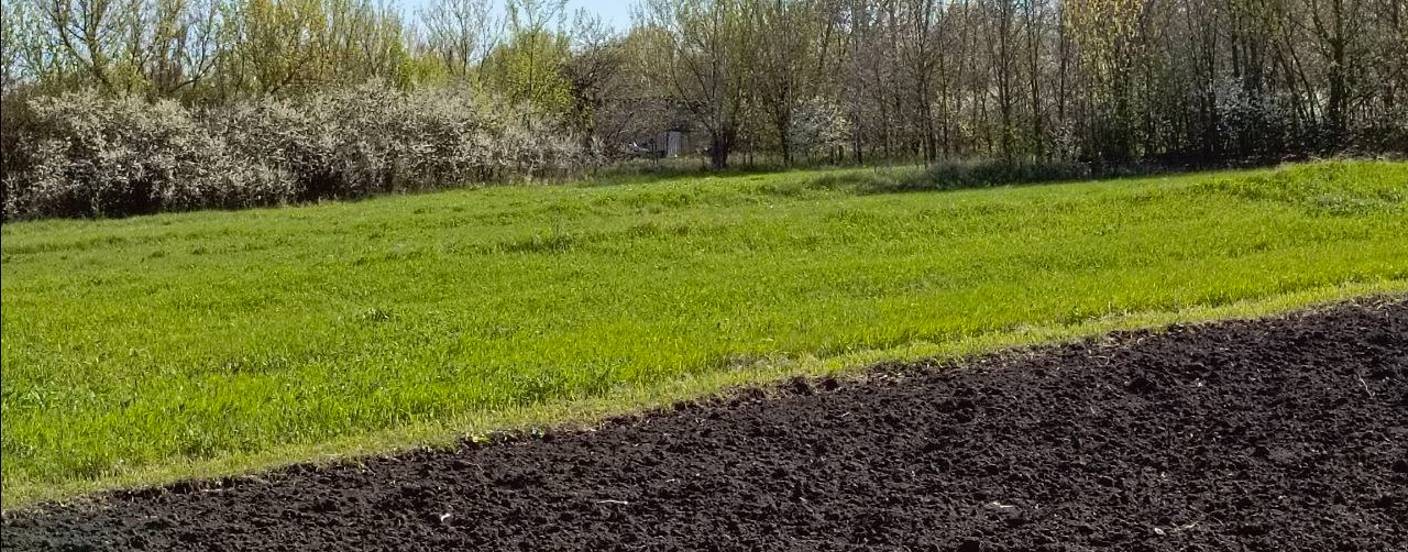 Баба с дедом в деле!