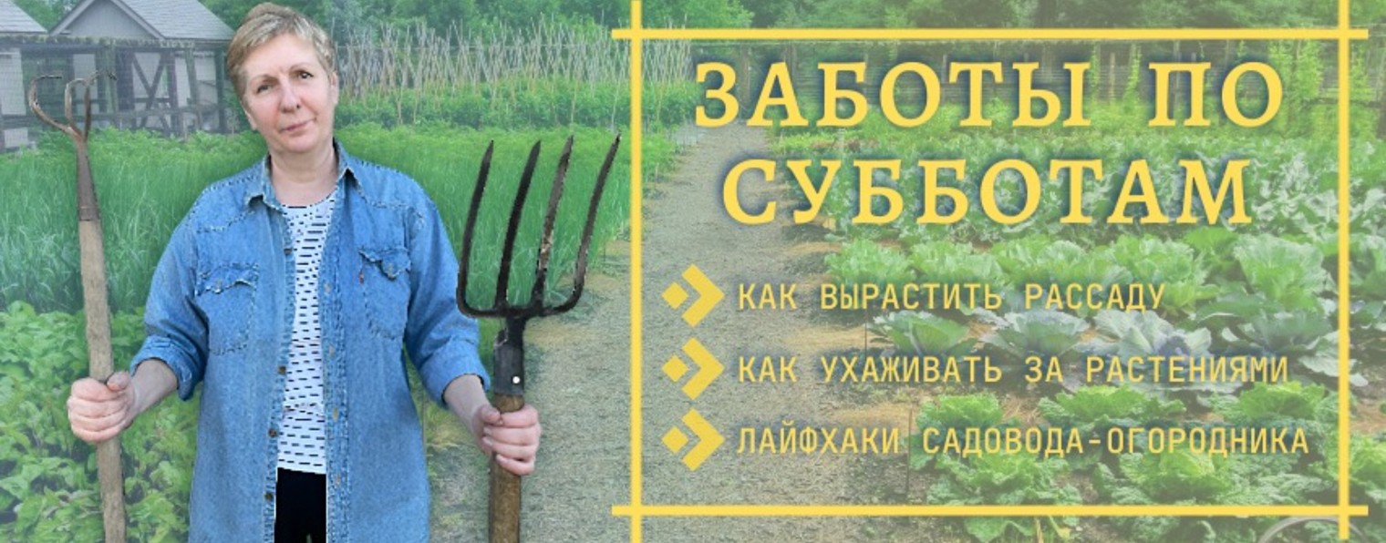 ЗАБОТЫ ПО  СУББОТАМ