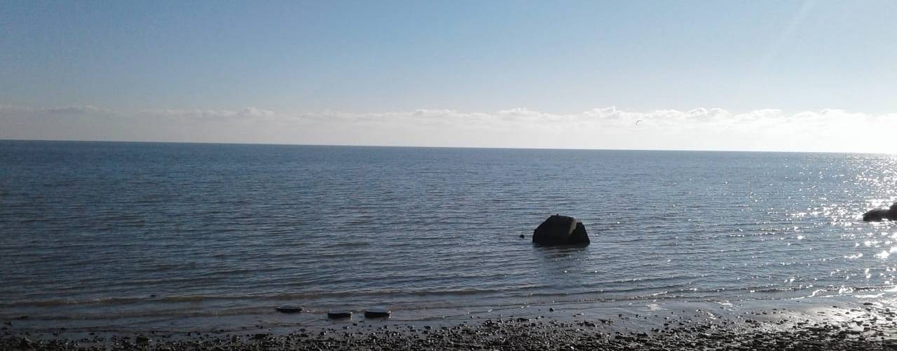 Есть только миг между прошлым и будущем