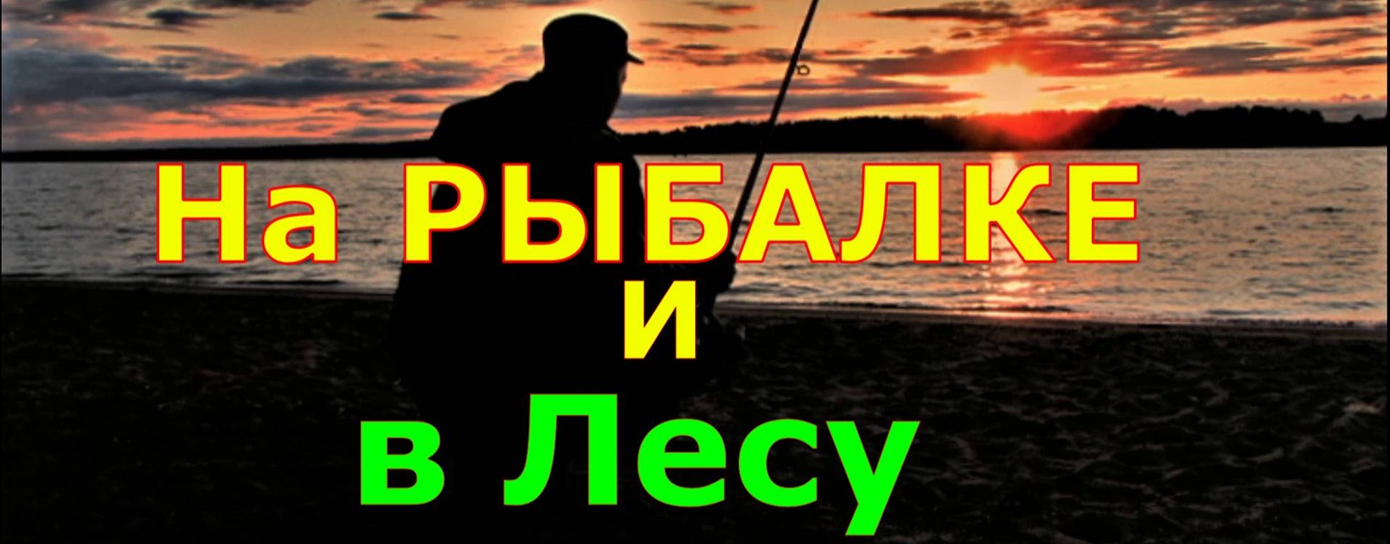 НА РЫБАЛКЕ И В ЛЕСУ
