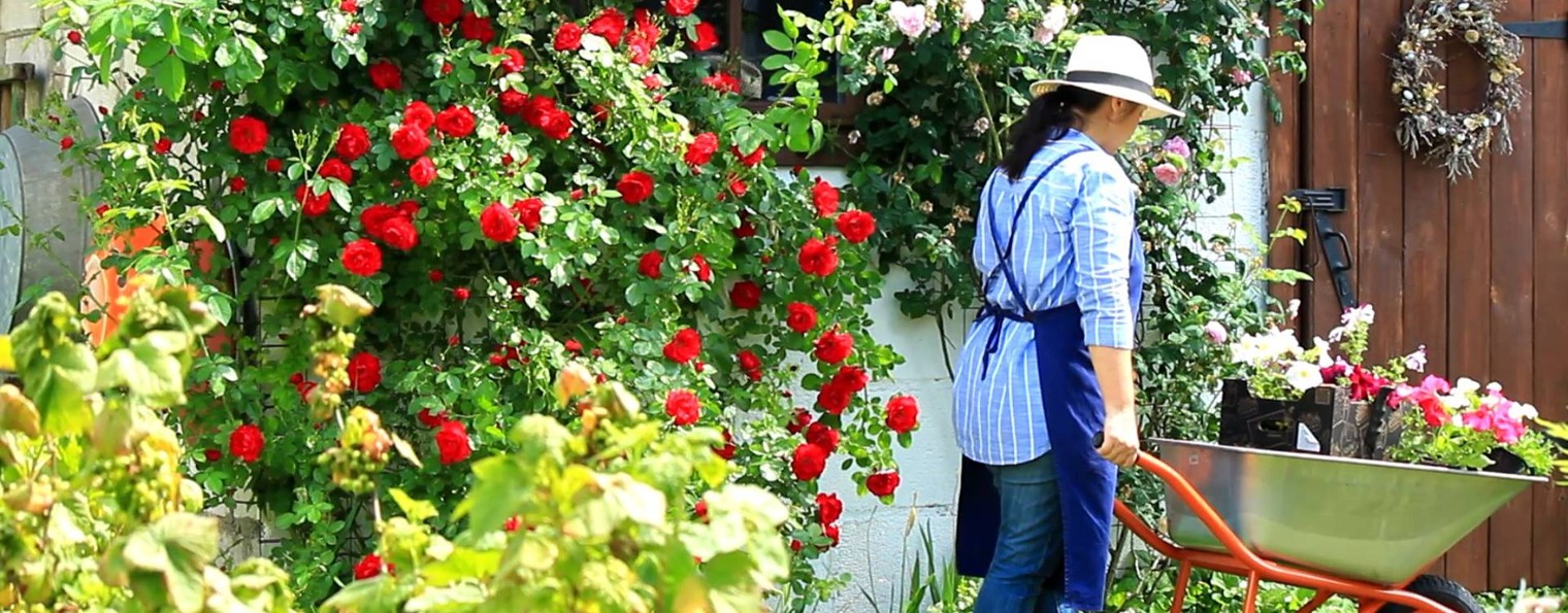 Олеся и Дом