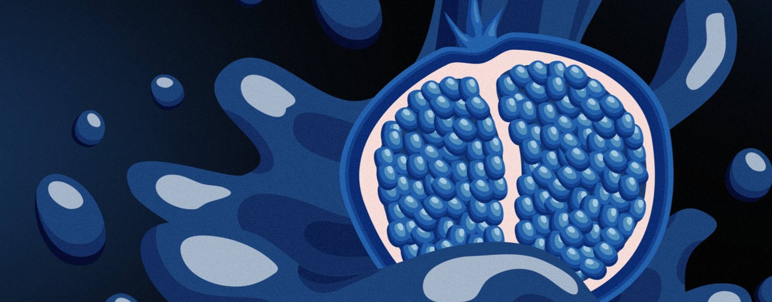 Подкаст «Гранат Науки»