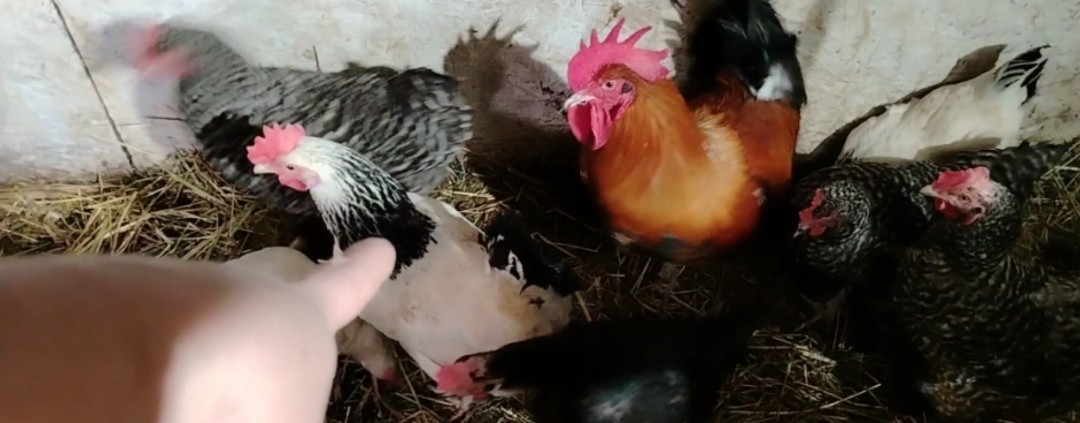 Деревенская жизнь простой женщины ☝️.