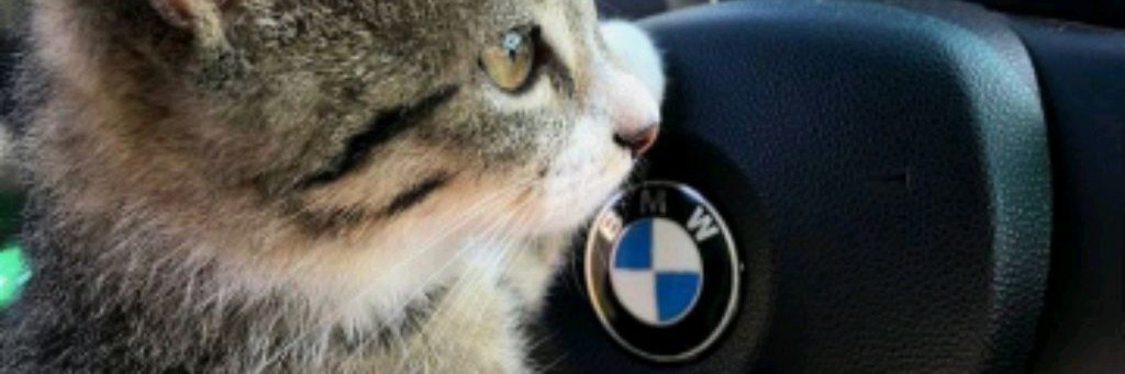 Артик Топ Игры