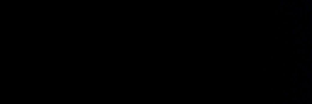 Попугаи^^стор