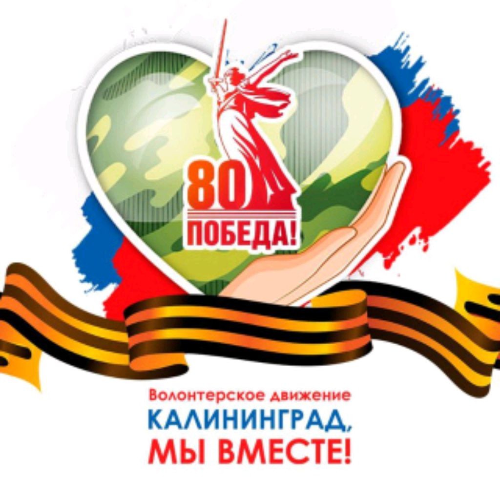 Волонтёрская Организация "Калининград, мы вместе!"