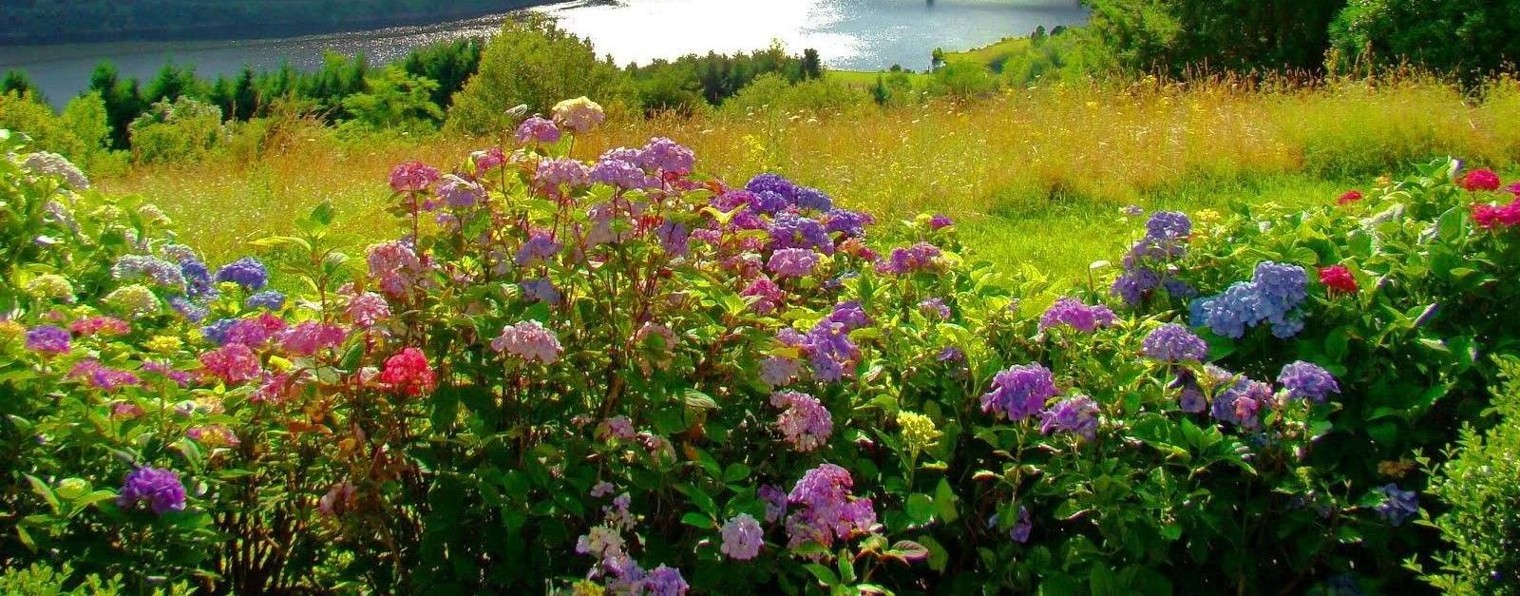 Прогулки по лесу