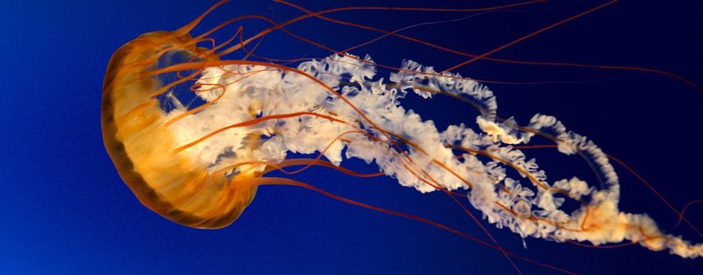 Все мои интересы