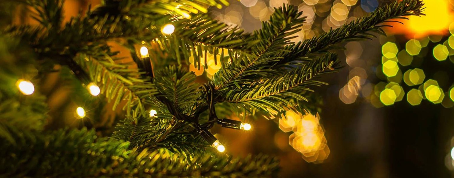 Krislandia.ru|Волшебное украшение города