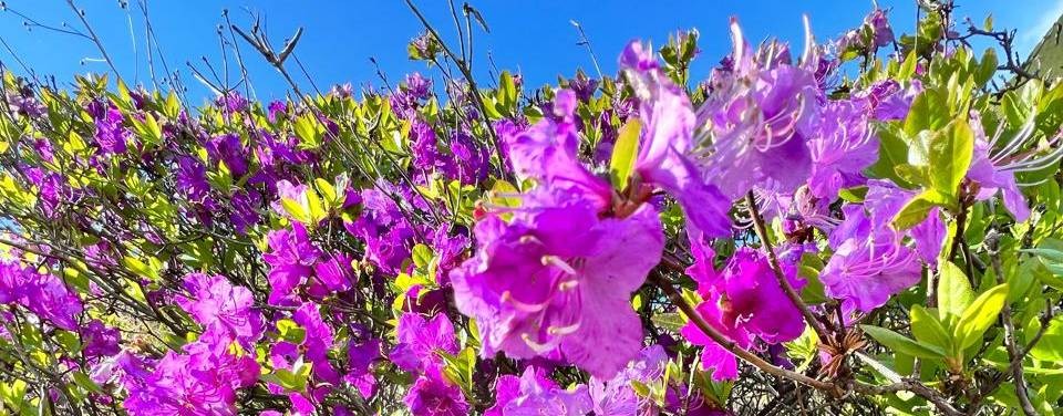 КатРин Приморье. Жизнь в мелочах. Будни с Любовью