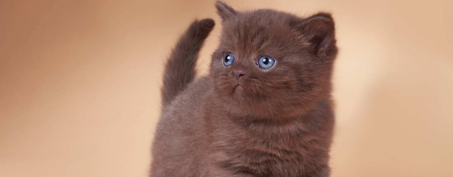 Ольга. Вязание и не только