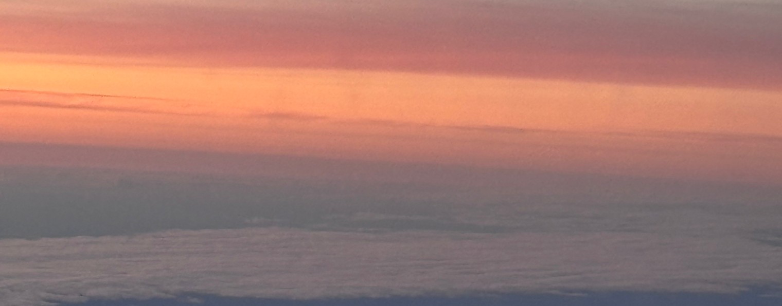 Сава в деле